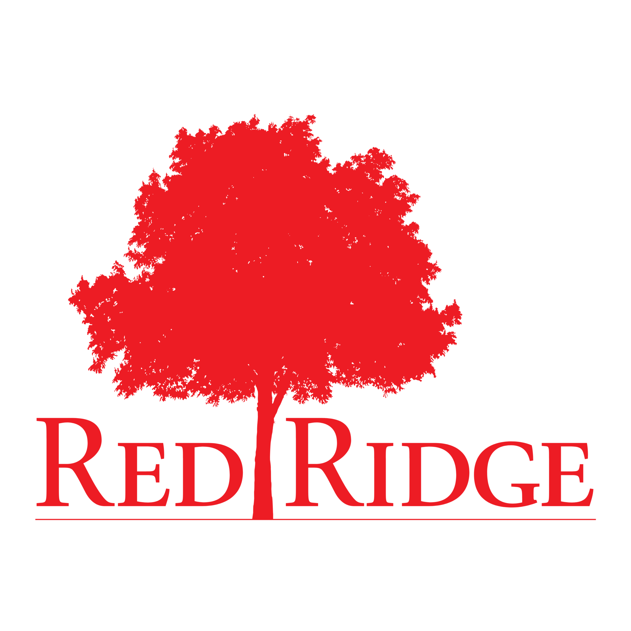Work With Us – Red Ridge Global